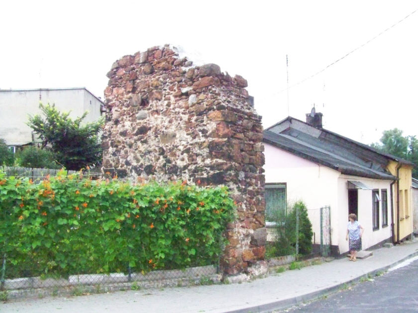 Przedbórz – relikty zamku królewskiego « Zamki Rotmanka