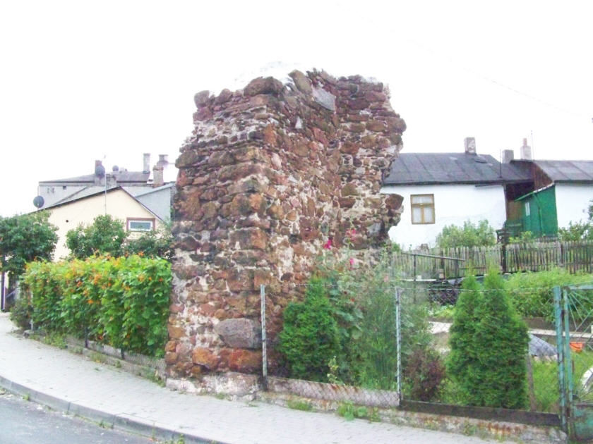 Przedbórz – relikty zamku królewskiego « Zamki Rotmanka