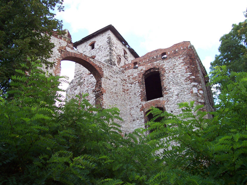 Rudno – ruiny gotyckiego zamku Tenczyn « Zamki Rotmanka