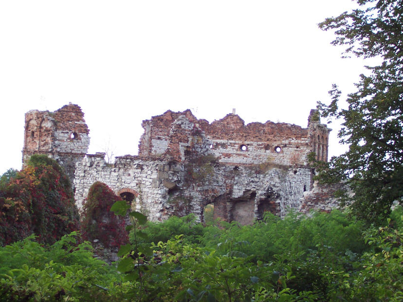 Rudno – ruiny gotyckiego zamku Tenczyn « Zamki Rotmanka