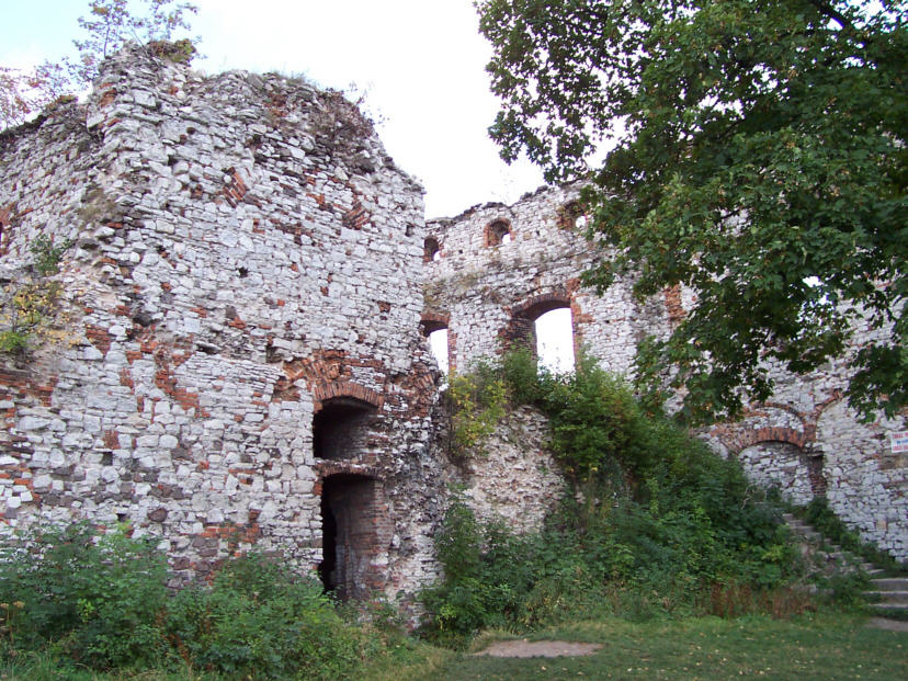 Rudno – ruiny gotyckiego zamku Tenczyn « Zamki Rotmanka