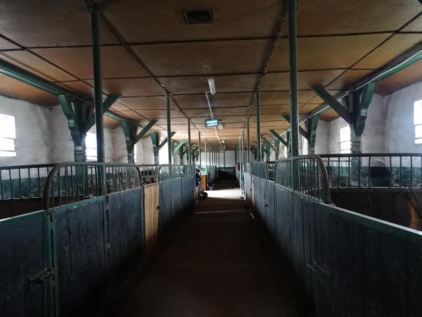 Kadyny – pałac cesarski i stadnina koni « Zamki Rotmanka