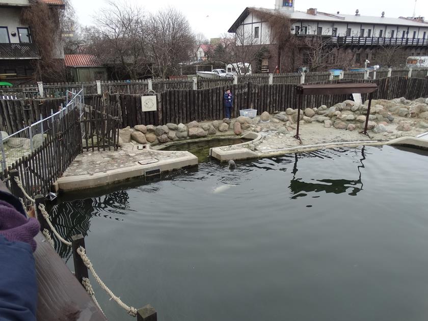 Hel – Fokarium « Zamki Rotmanka